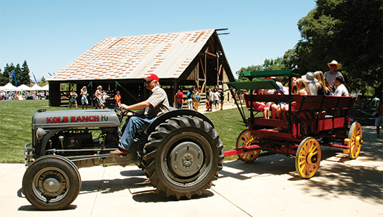 Events & Festivals | Dublin, CA - Official Website